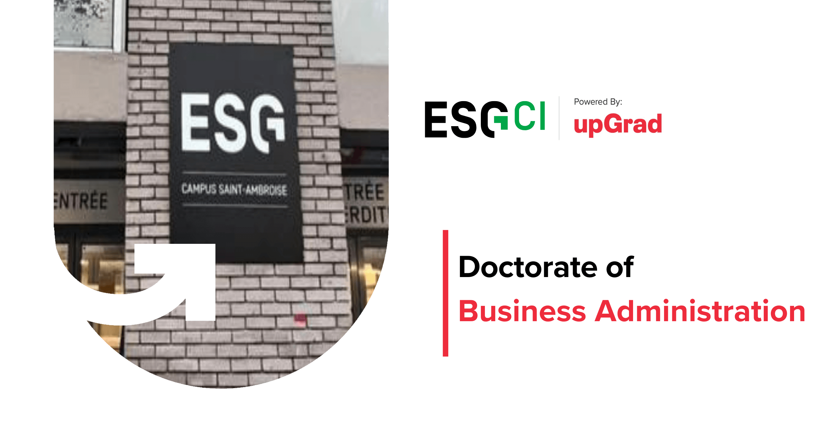Doctorate of Business Administration (DBA) Program Online from ESGCI ...